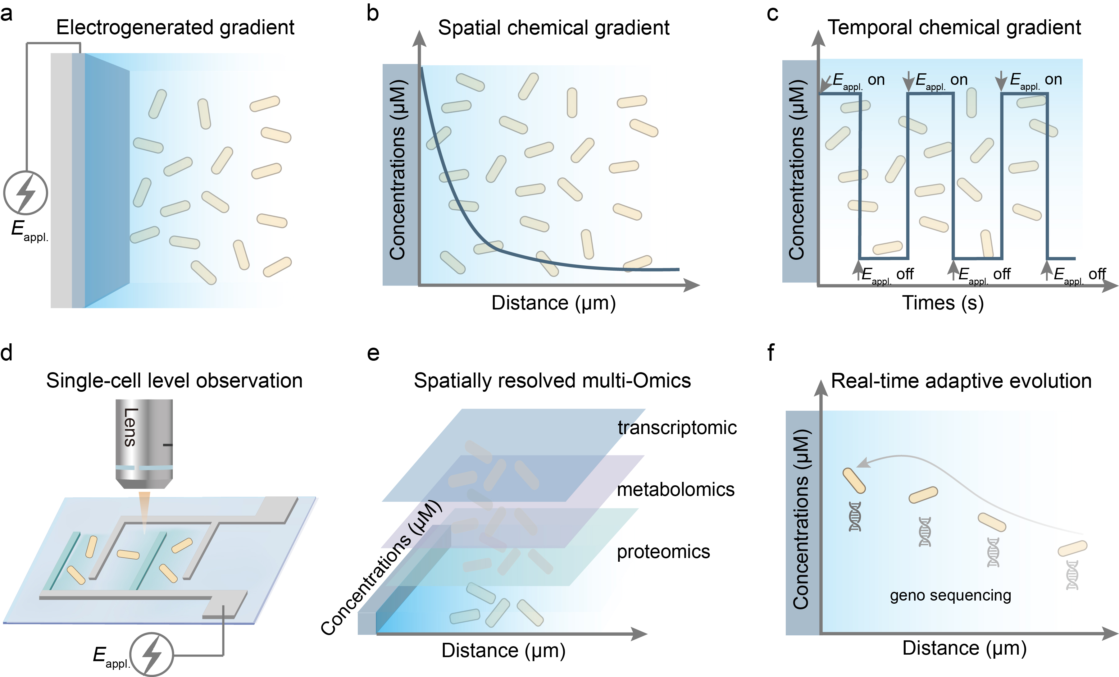 Publications of the Liu group | The Chong Liu Lab @ UCLA